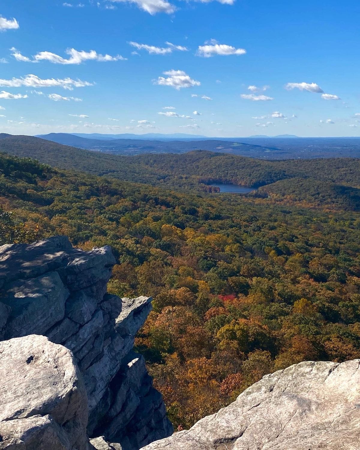 Fall foliage on the Appalachian trail (Annapolis rock, Maryland USA)