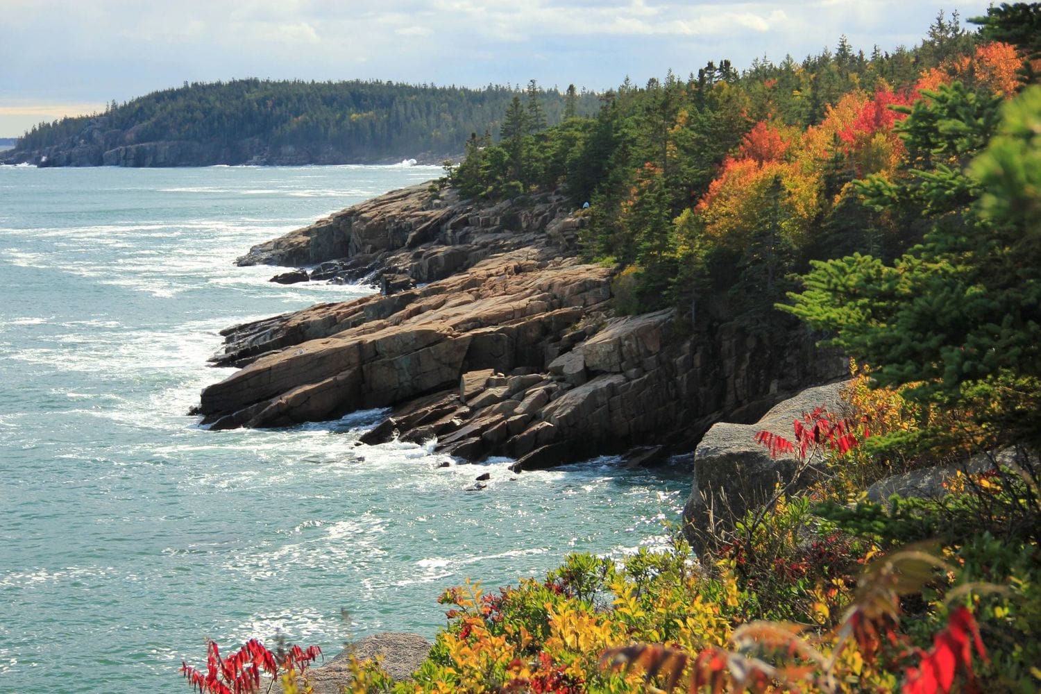 My trip to Acadia National Park was an incredible adventure. We hiked ...