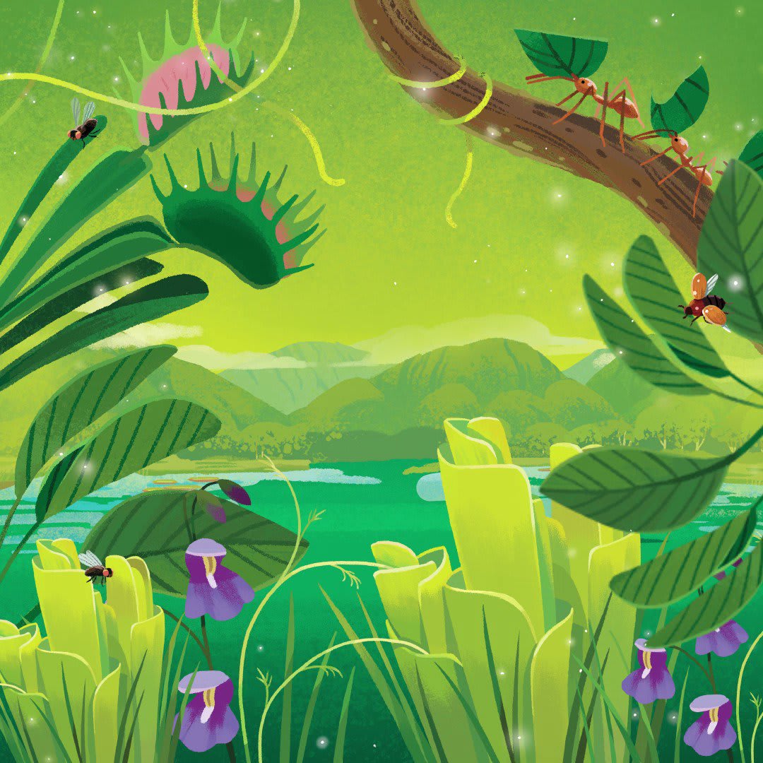 Discover astonishing stories from the brand-new BBC TV series: The ...