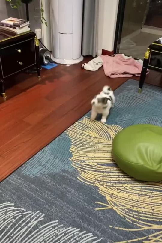 Me getting distracted every 5 minutes.