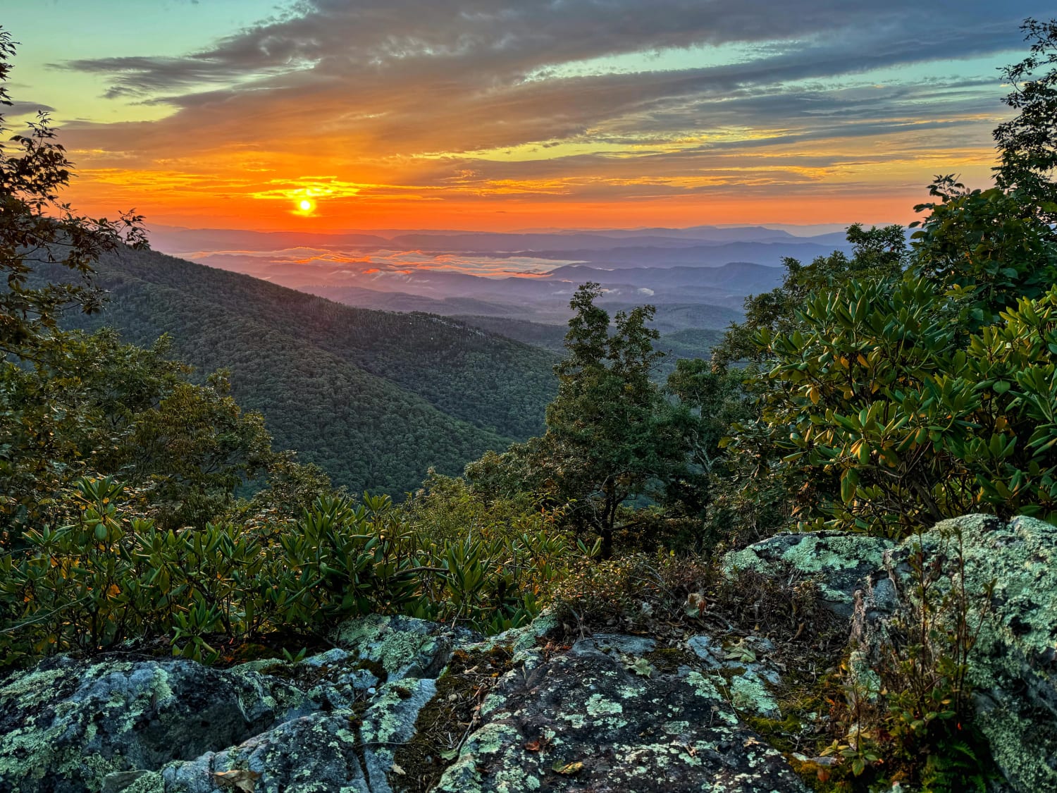 Bear Loop Trail, Warm Springs, VA, USA