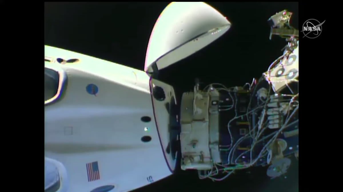 This morning, @SpaceX's Crew Dragon Resilience separated from its ...
