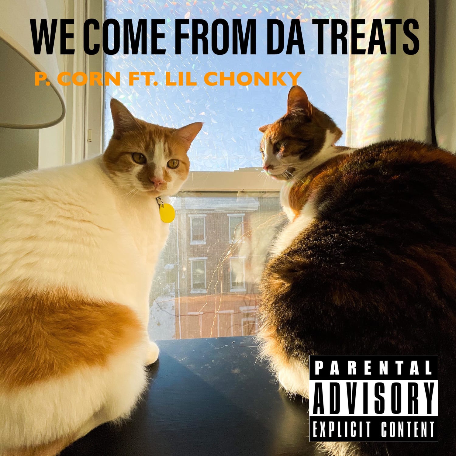My roommate and I made an album cover for our chonkers