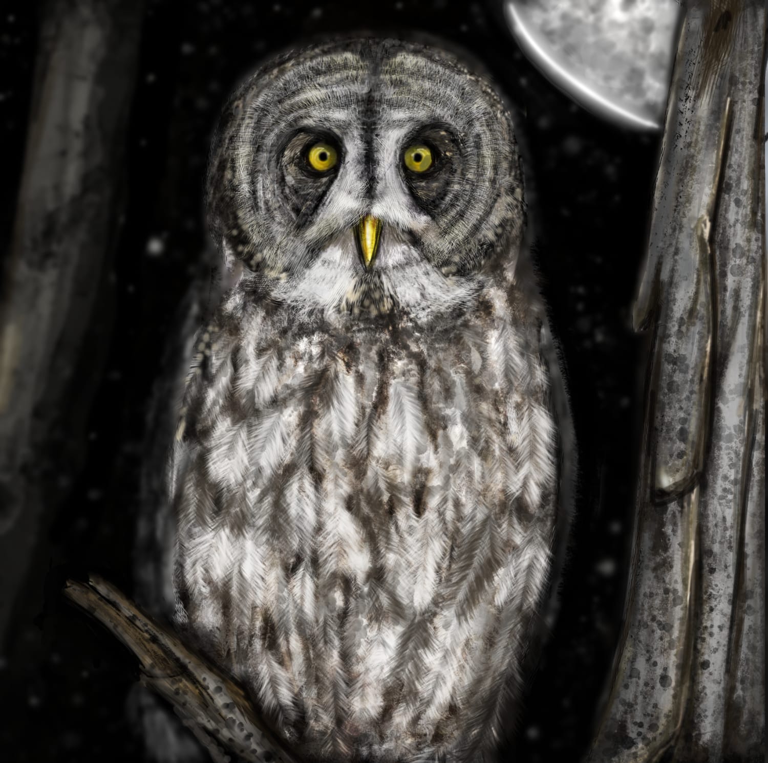 hey Owl lovers 👋. Just finished this Great Grey piece a couple days ago ...