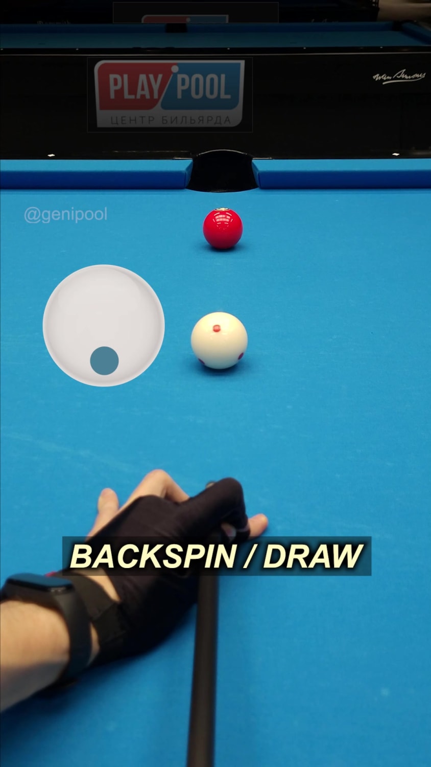 Level 1: Basic Spins