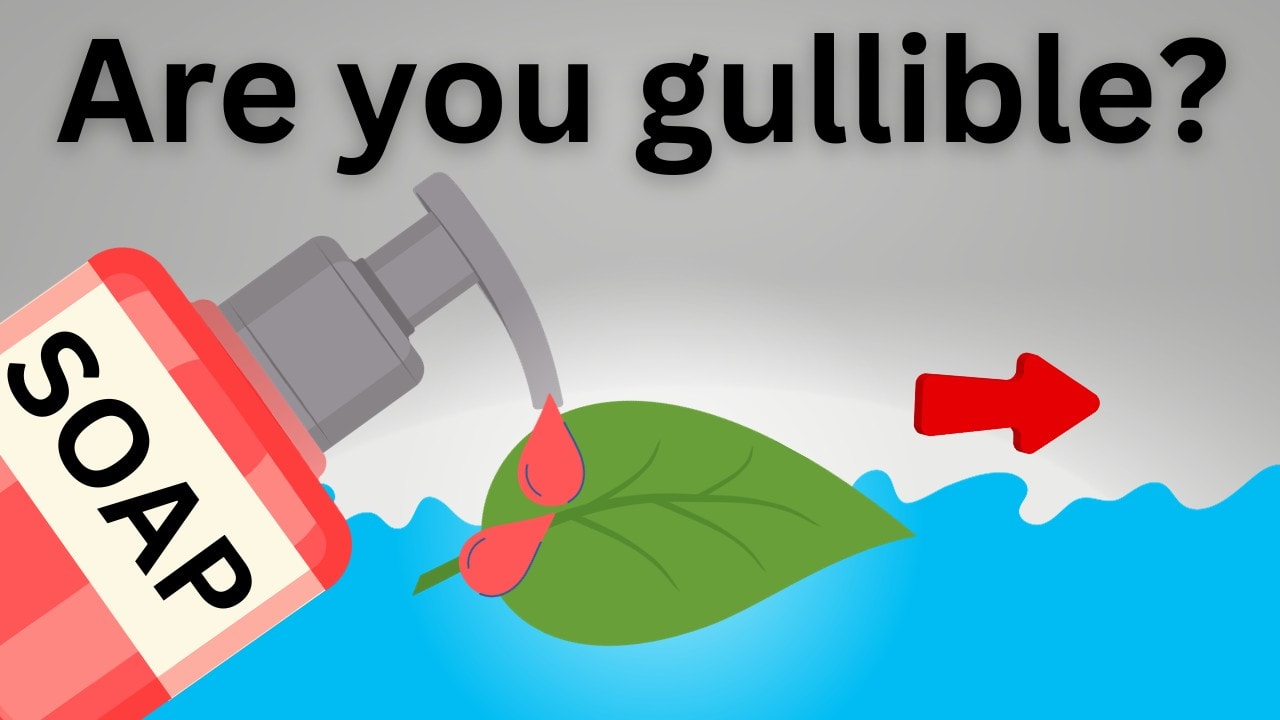 Can soap propel a leaf boat? (2 Truths & Trash)