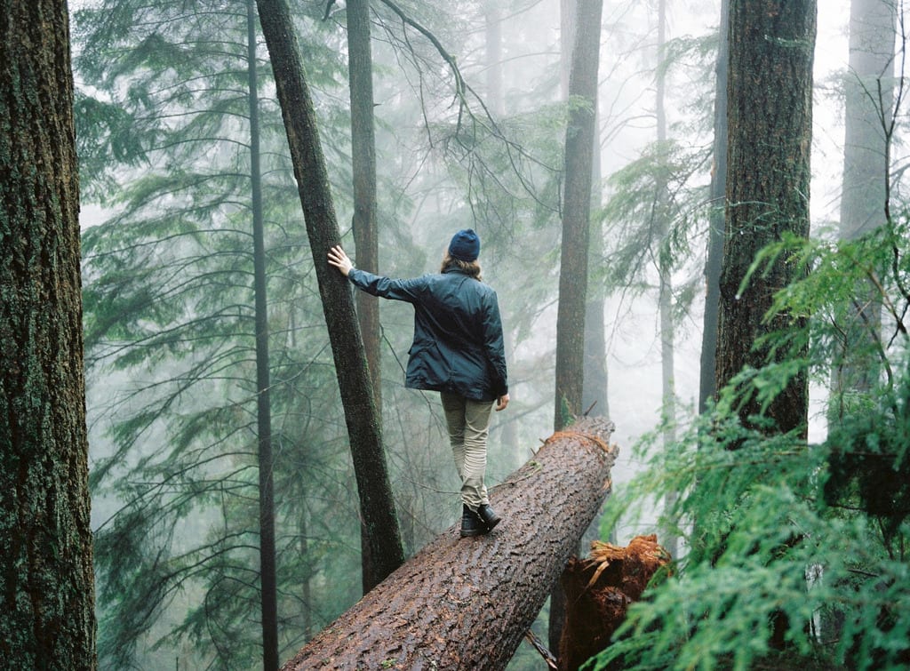 Flickr: Scott McFadyen