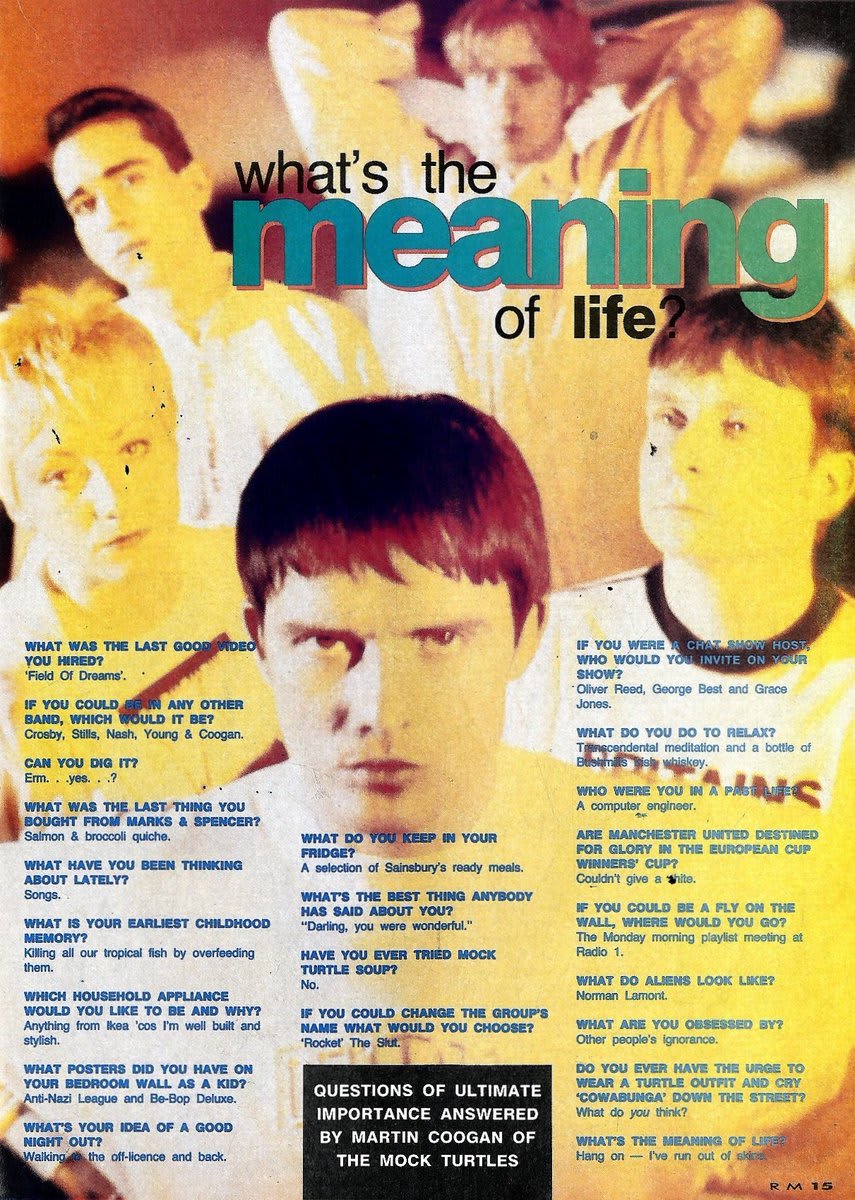 Martin Coogan of The Mock Turtles answers your questions...