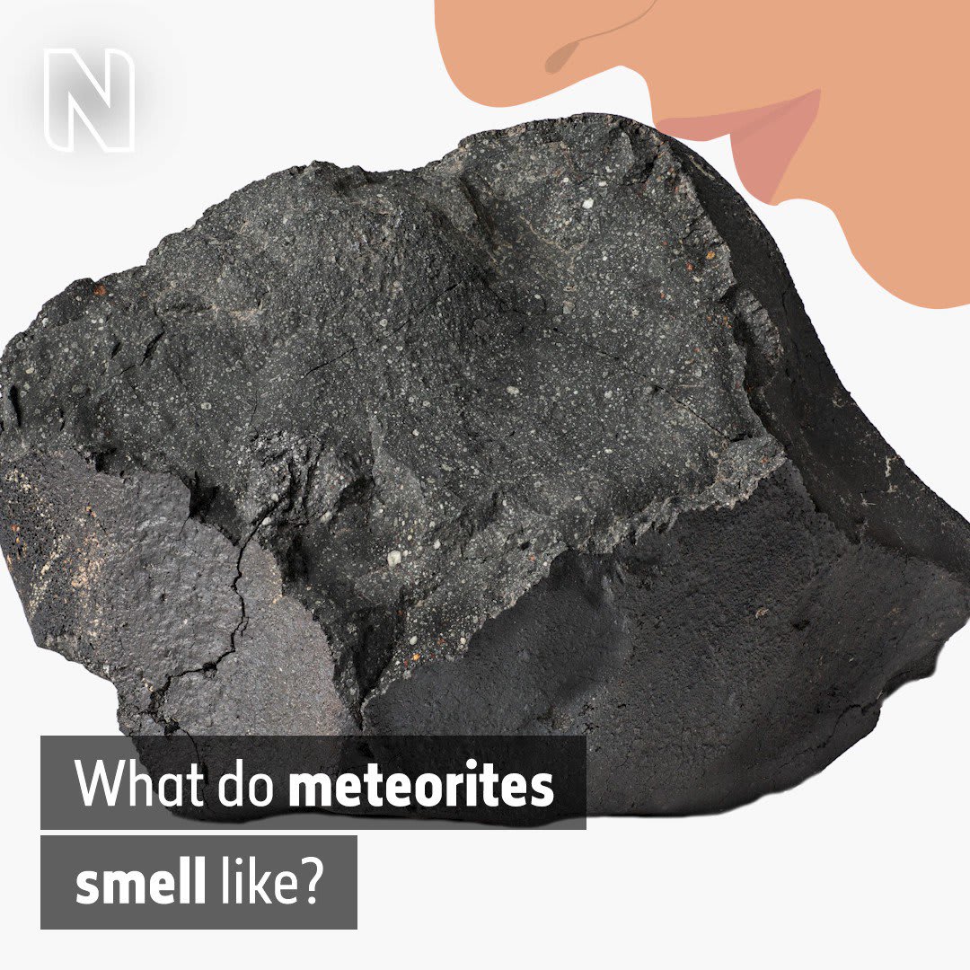 One of the noticeable things about the Murchison meteorite, which fell ...