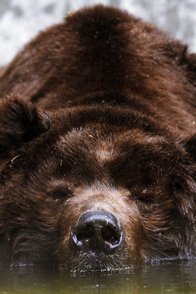 Coffee Break on Tumblr