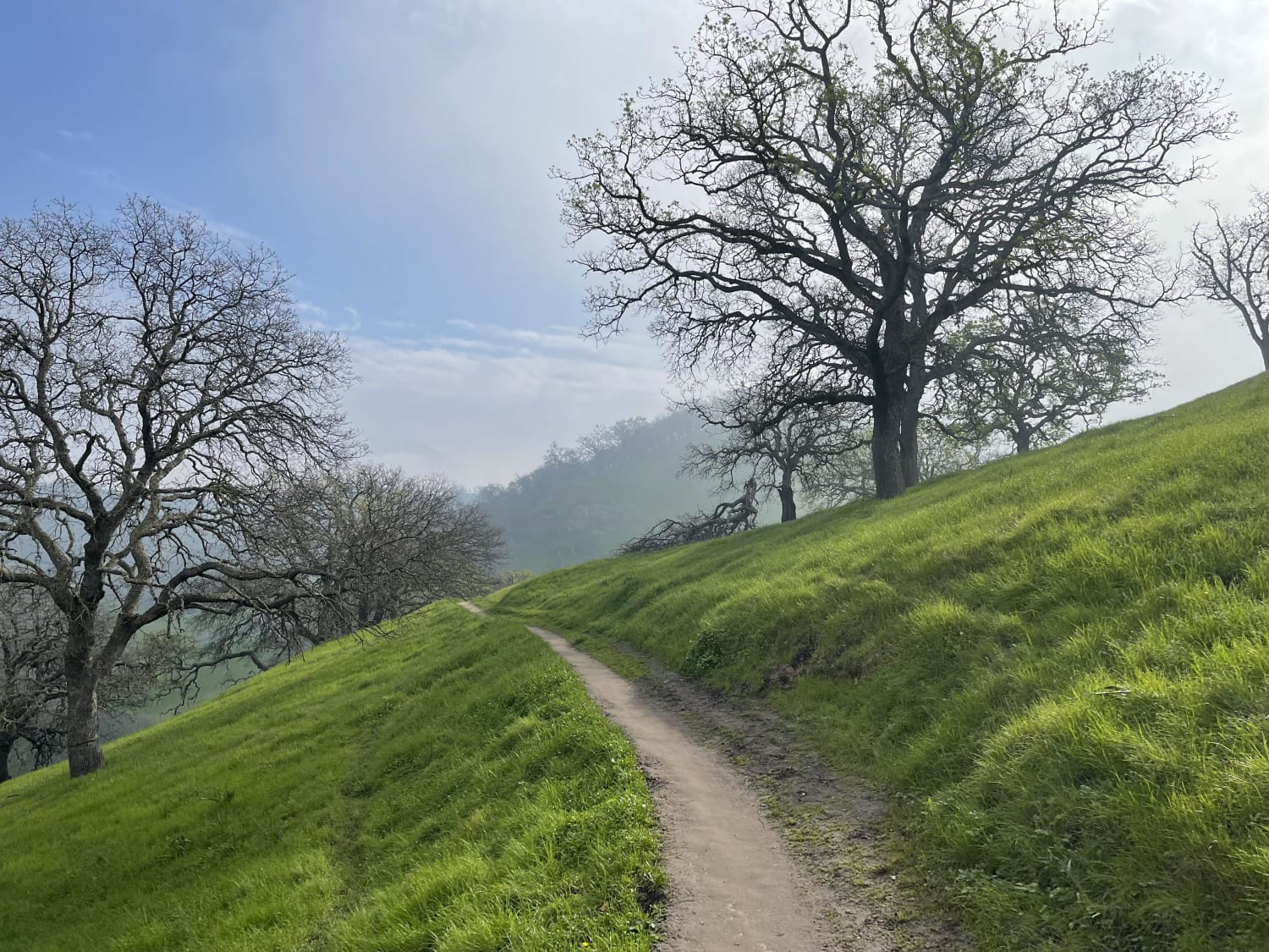 Shell Ridge Open Space — Walnut Creek, CA 1/16/22