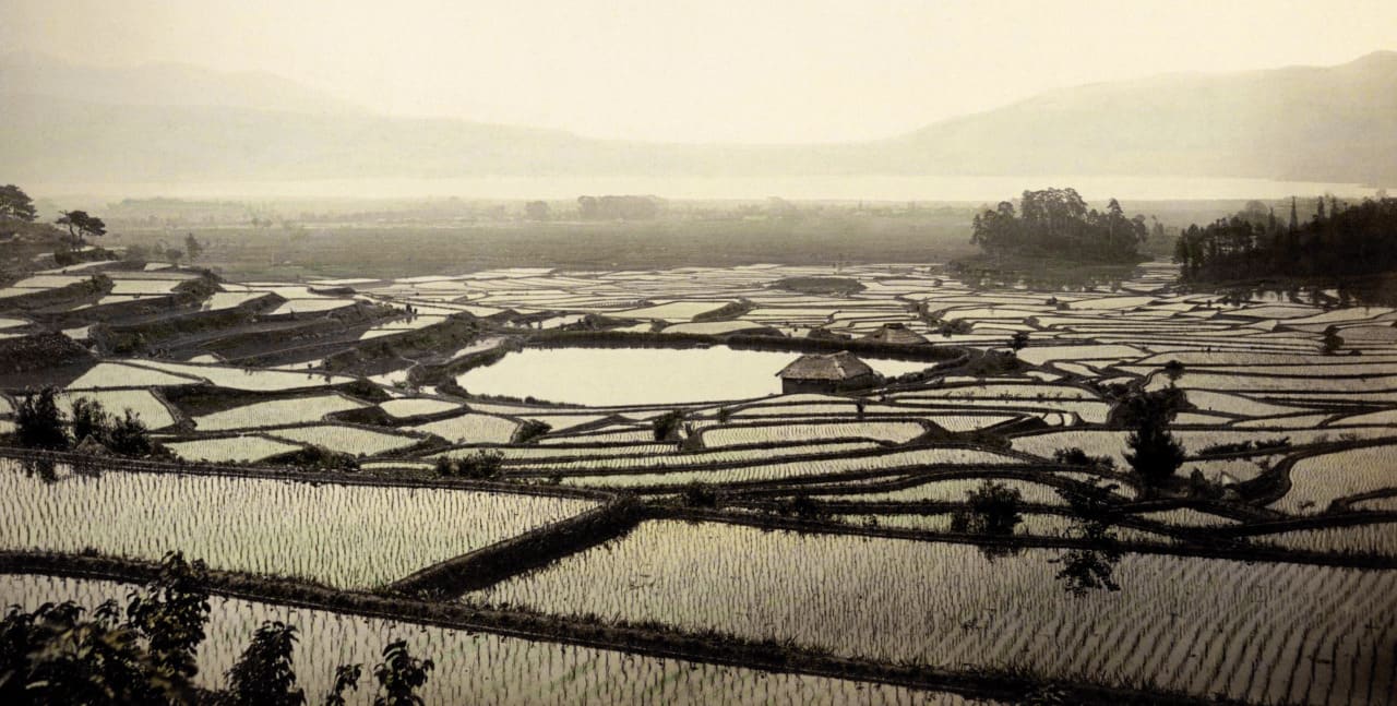 "RICE PADDIES ABOVE LAKE SUWA 諏訪湖. ca.1886-7 image from the Yokohama ...