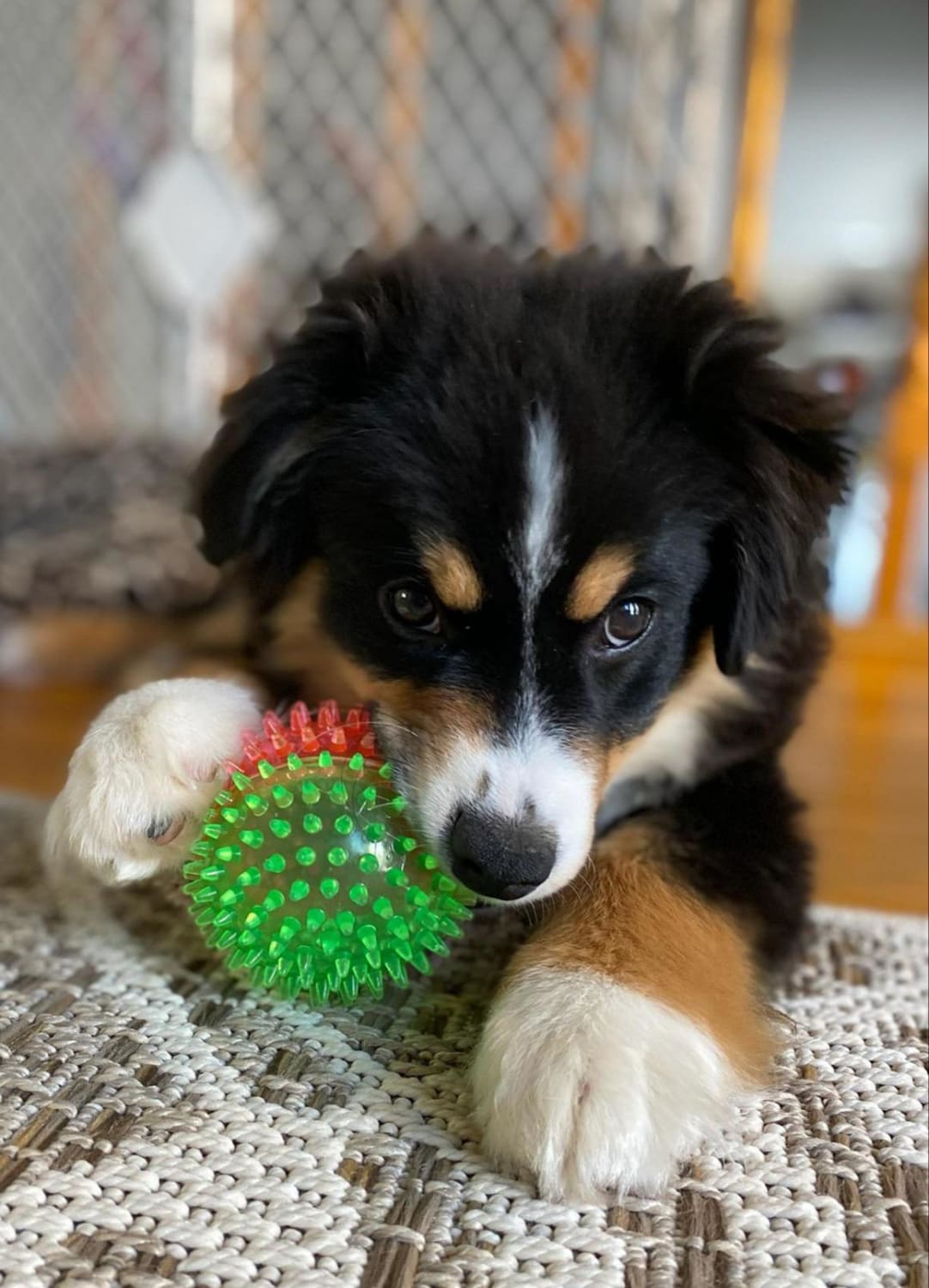 I heard reddit likes cute boys with big paws