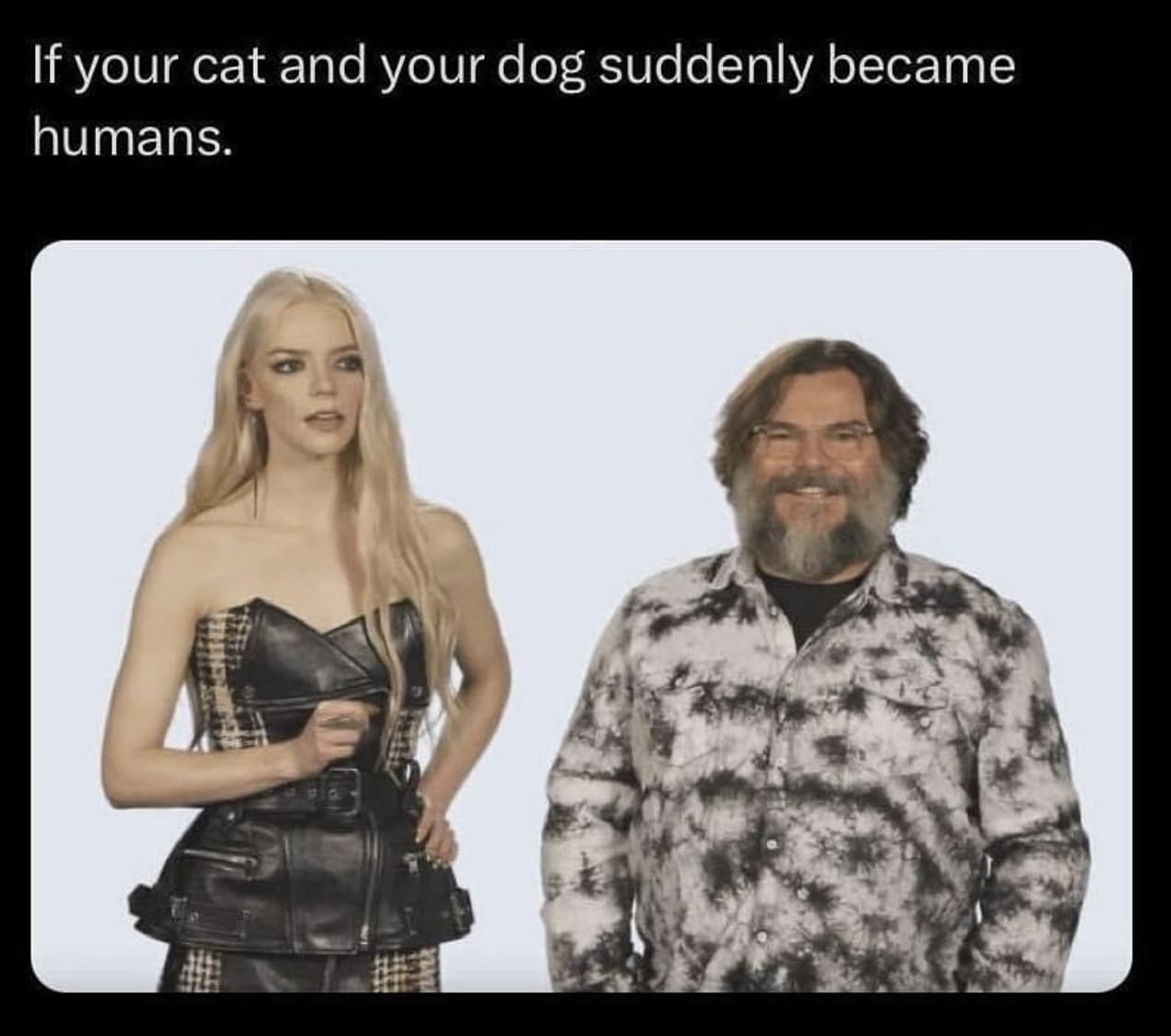 Catchymemes on Tumblr