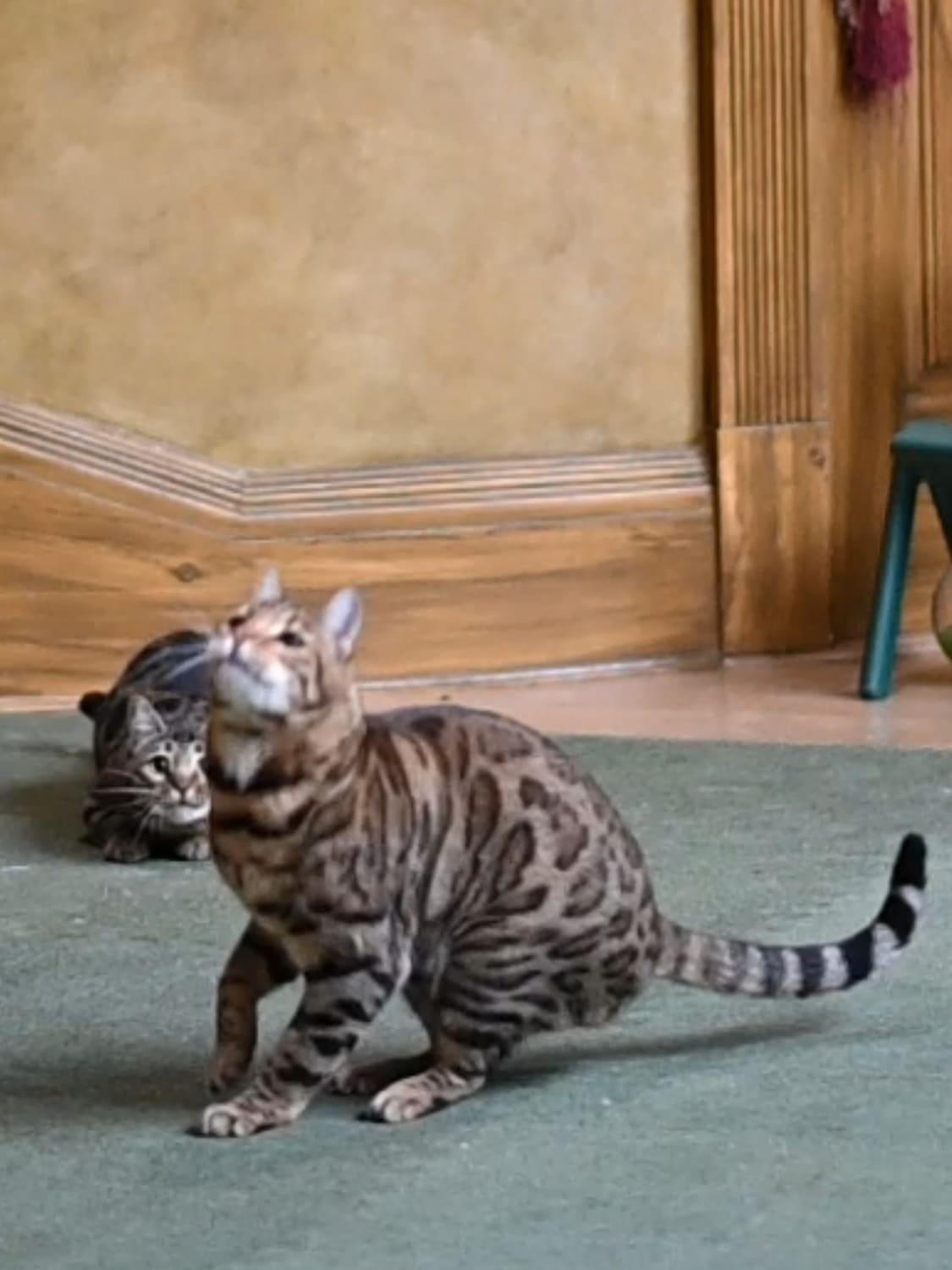 Jumping into the Weekend