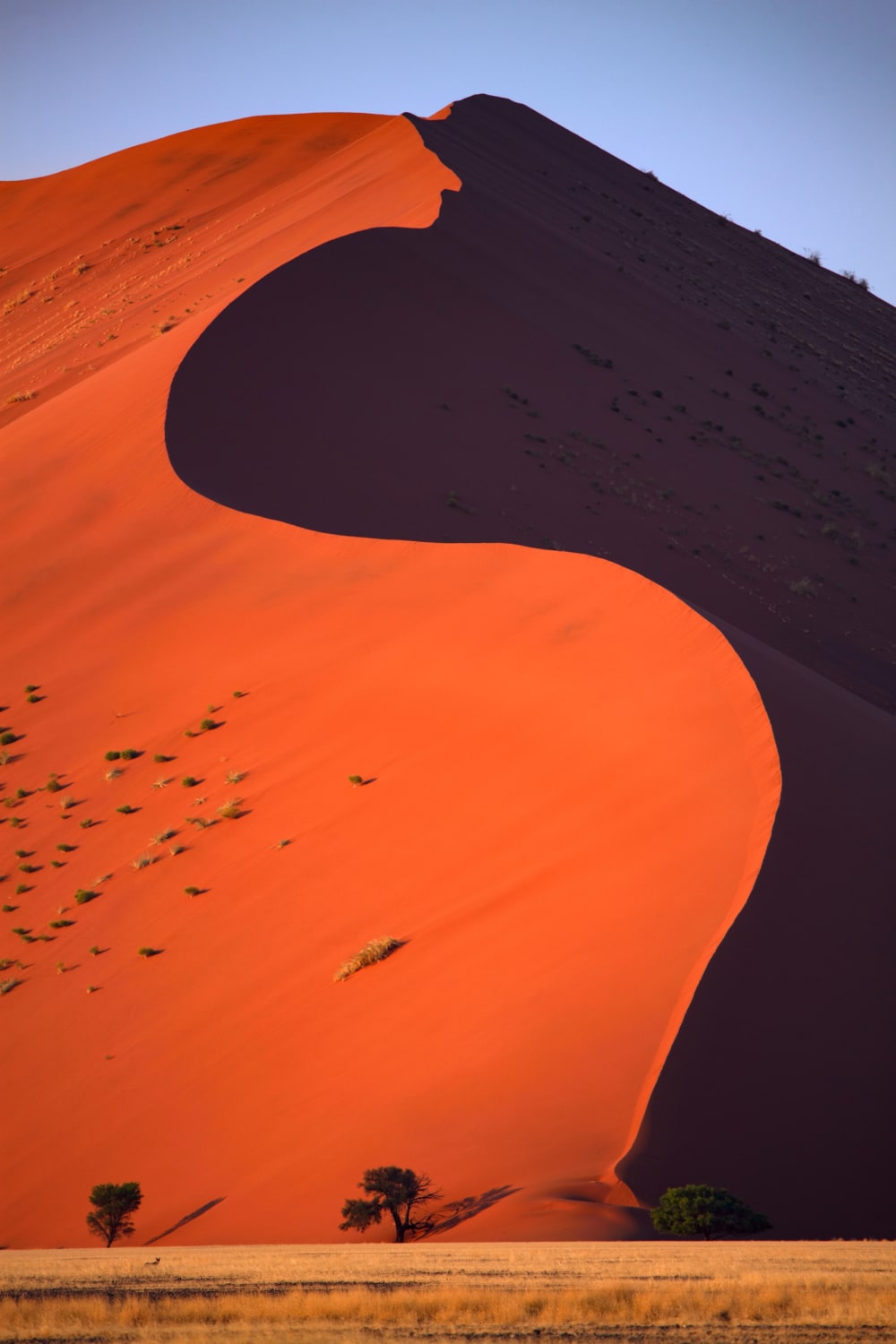 Sossusvlei - Namibia (by Aftab Uzzaman)