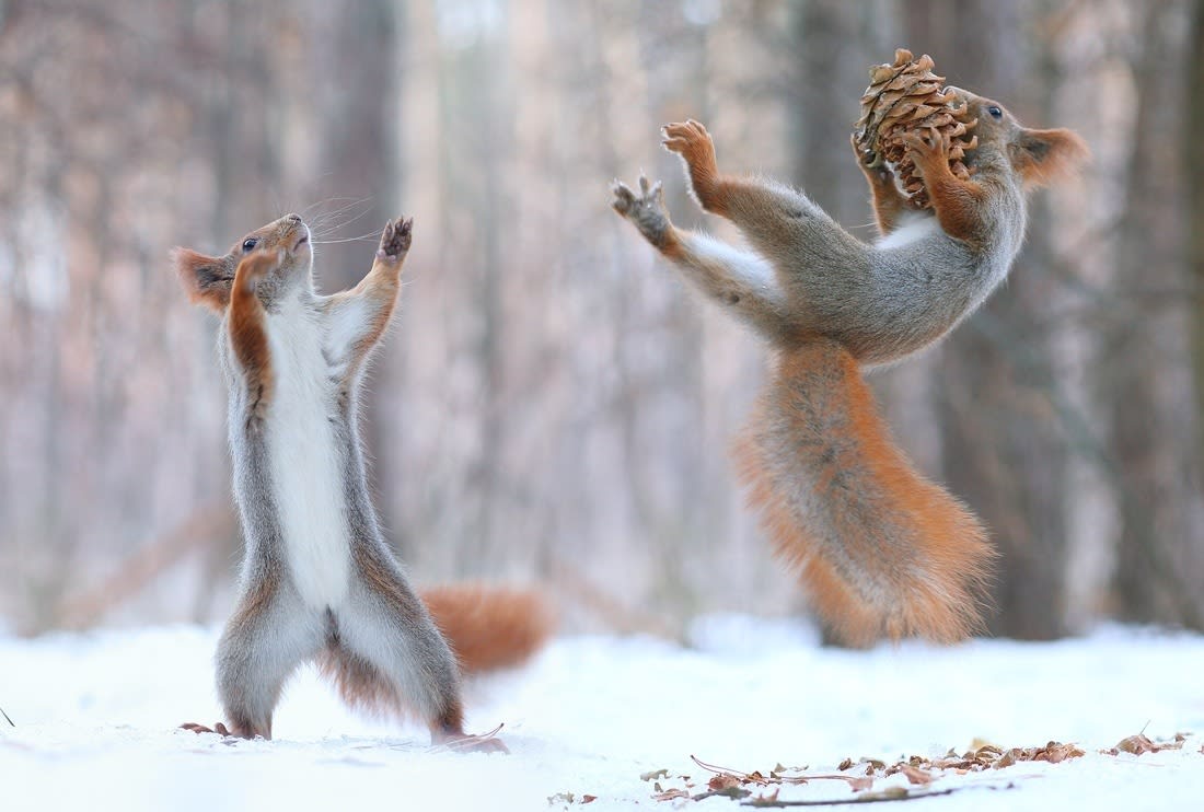 Wow !!! by Vadim Trunov / 500px