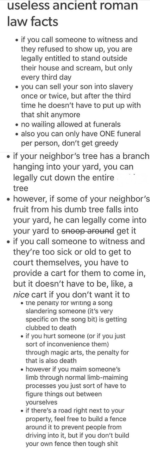 Hilarious Tumblr Text Posts