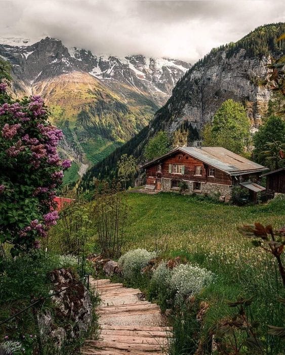 My Life in the Countryside on Tumblr