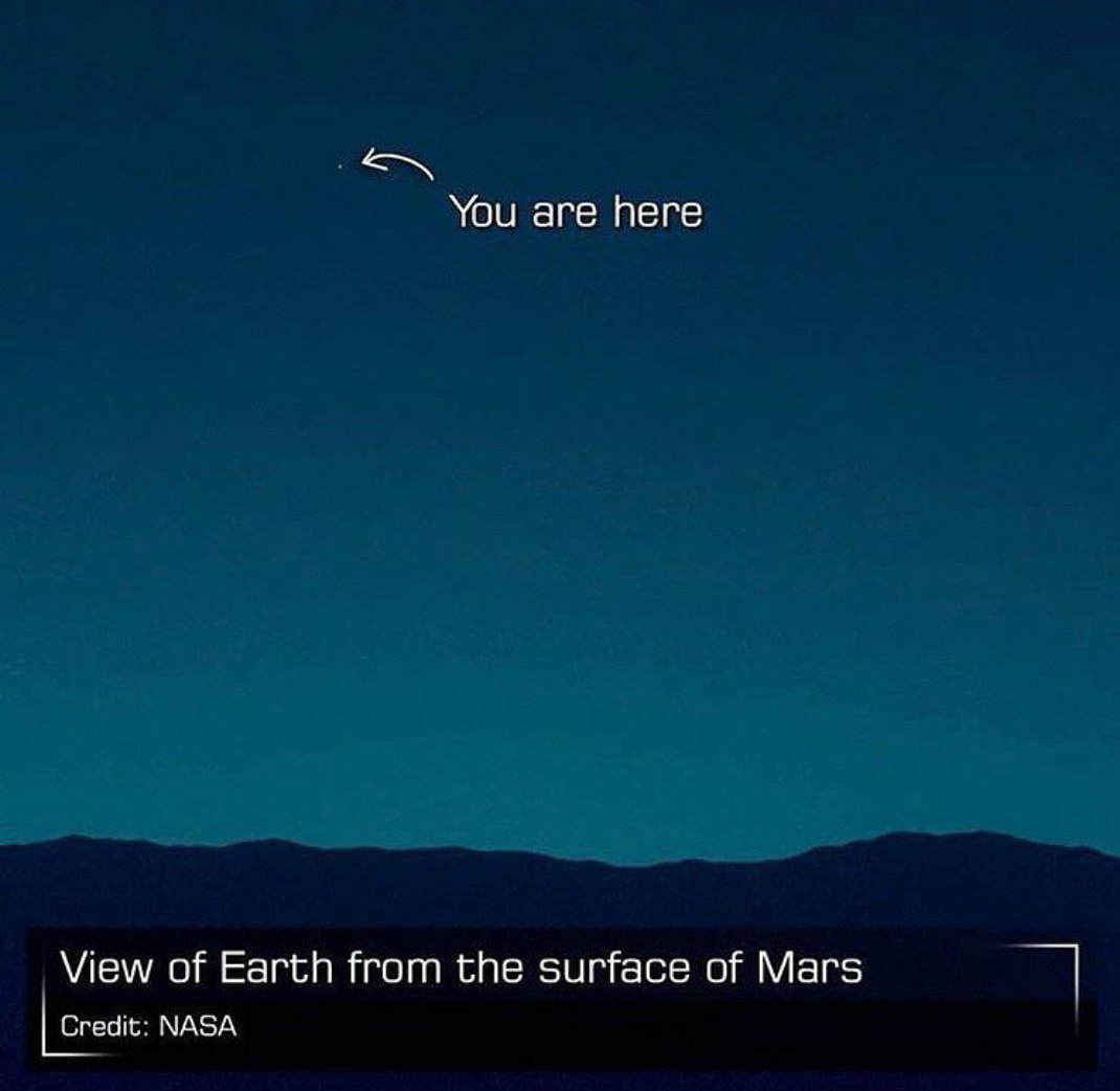 sloth unleashed on Tumblr