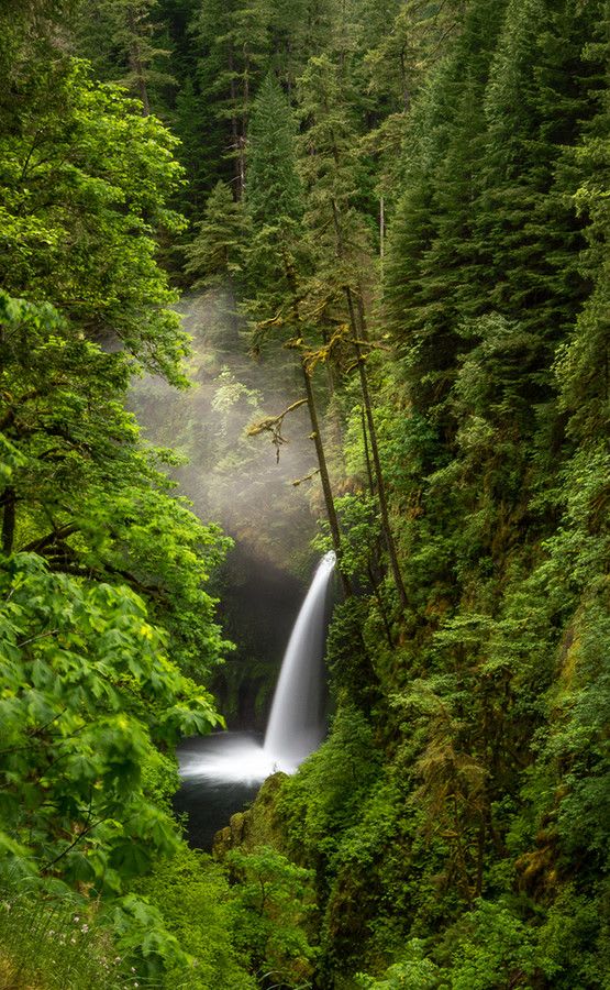 Green Romance by Mitul Shah on 500px | Waterfall, Beautiful waterfalls, Beautiful places