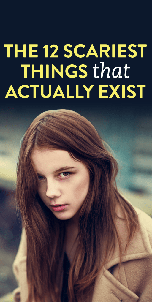 The 12 Scariest Things That Actually Exist, According To Reddit