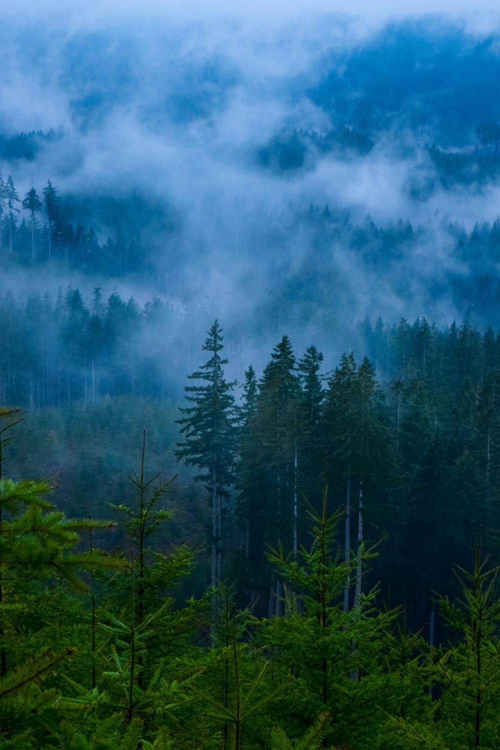 DSC_0029.jpg by Rick Goble