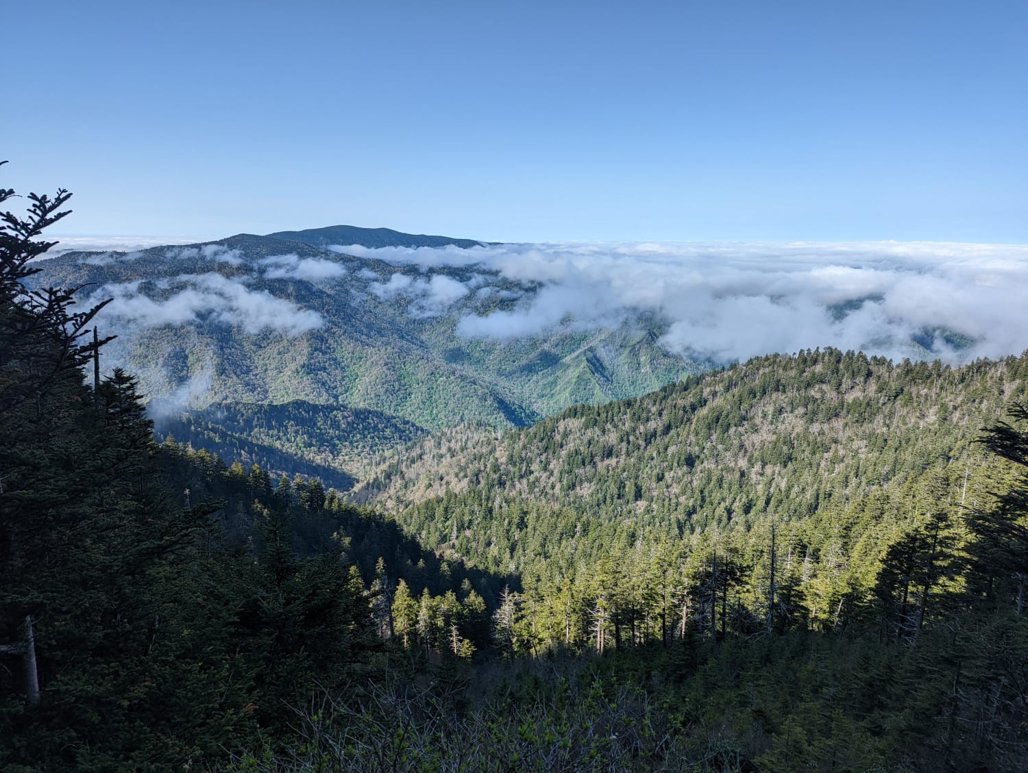 On the way to Mt Le Conte, Smoky Mountain National Park, TN
