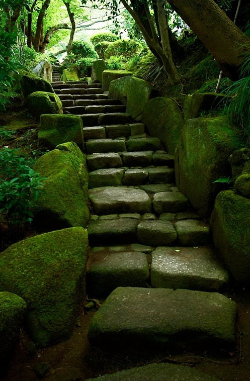 Mossy stairs to Hokoku-ji Temple in Kamakura, Kanagawa, Japan