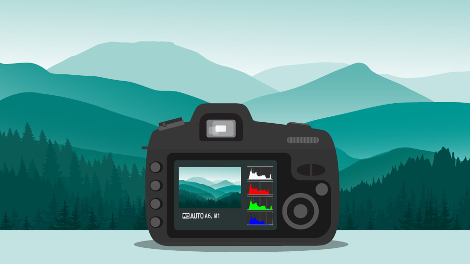 How to Read Your Camera's Histogram