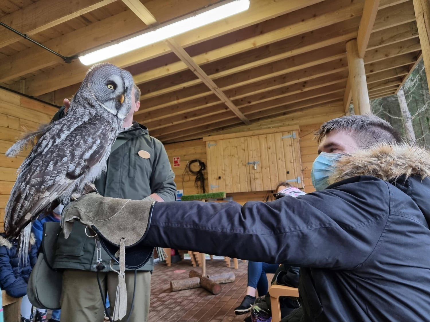 Went to an Owl Meet and Greet at a local wildlife Park and met this ...