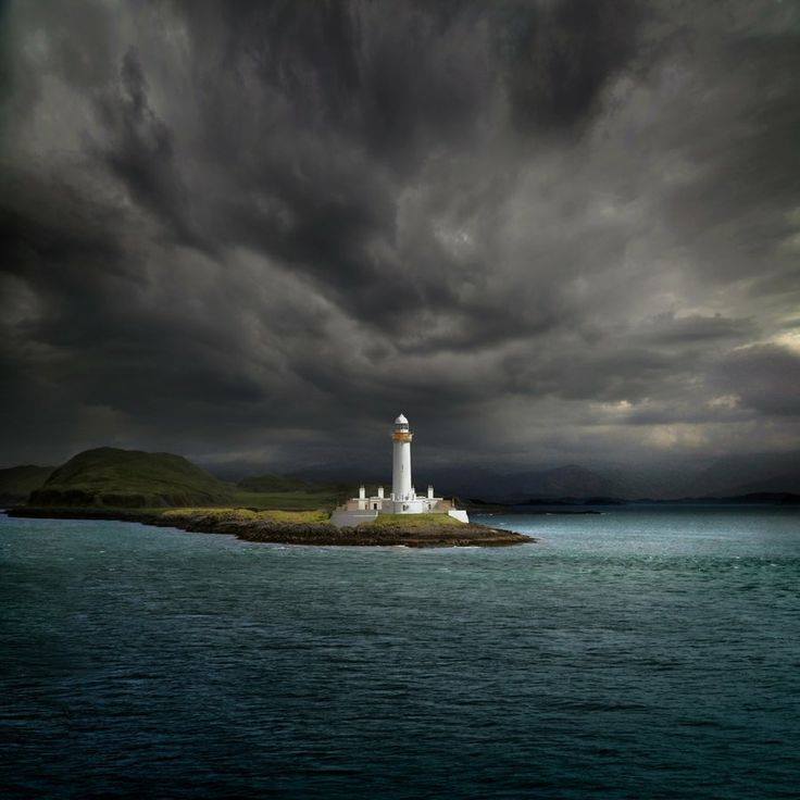 Tumble Weed Rose on Tumblr