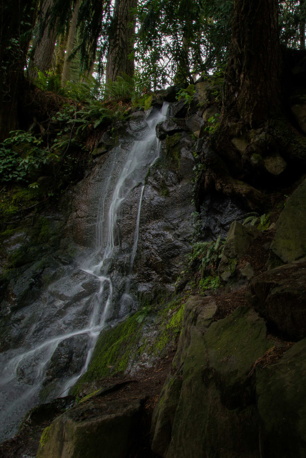 DSC_0042.jpg by Rick Goble