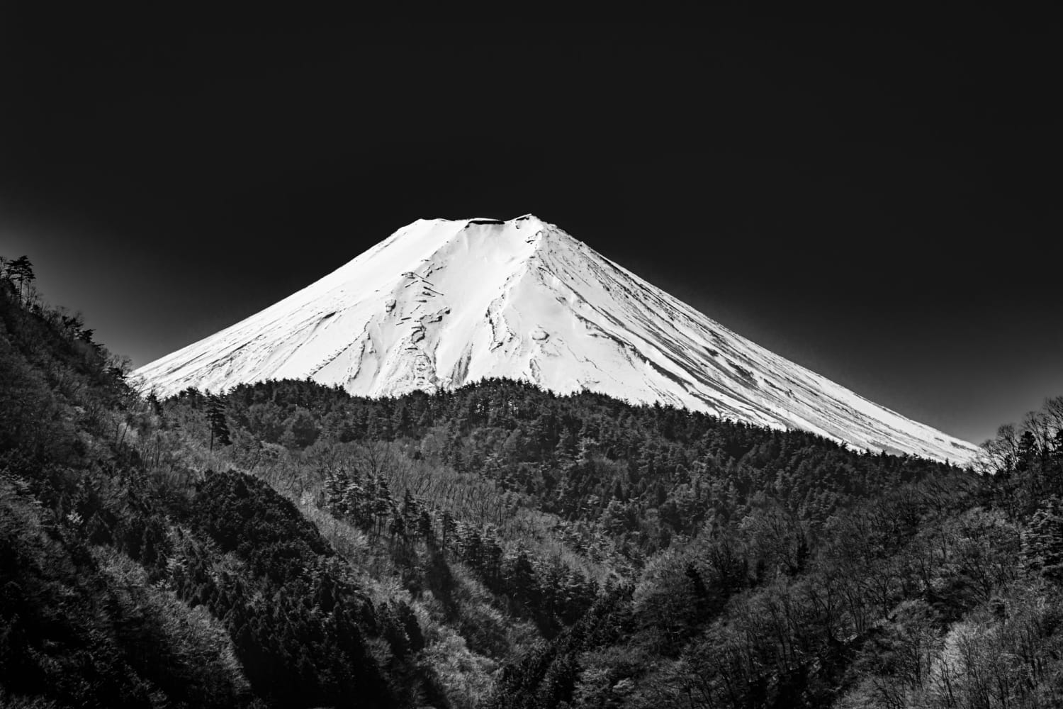White Fuji