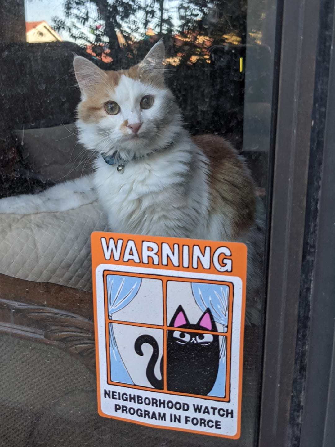 Here is Stolas again. As you can see, she is very busy patrolling the ...