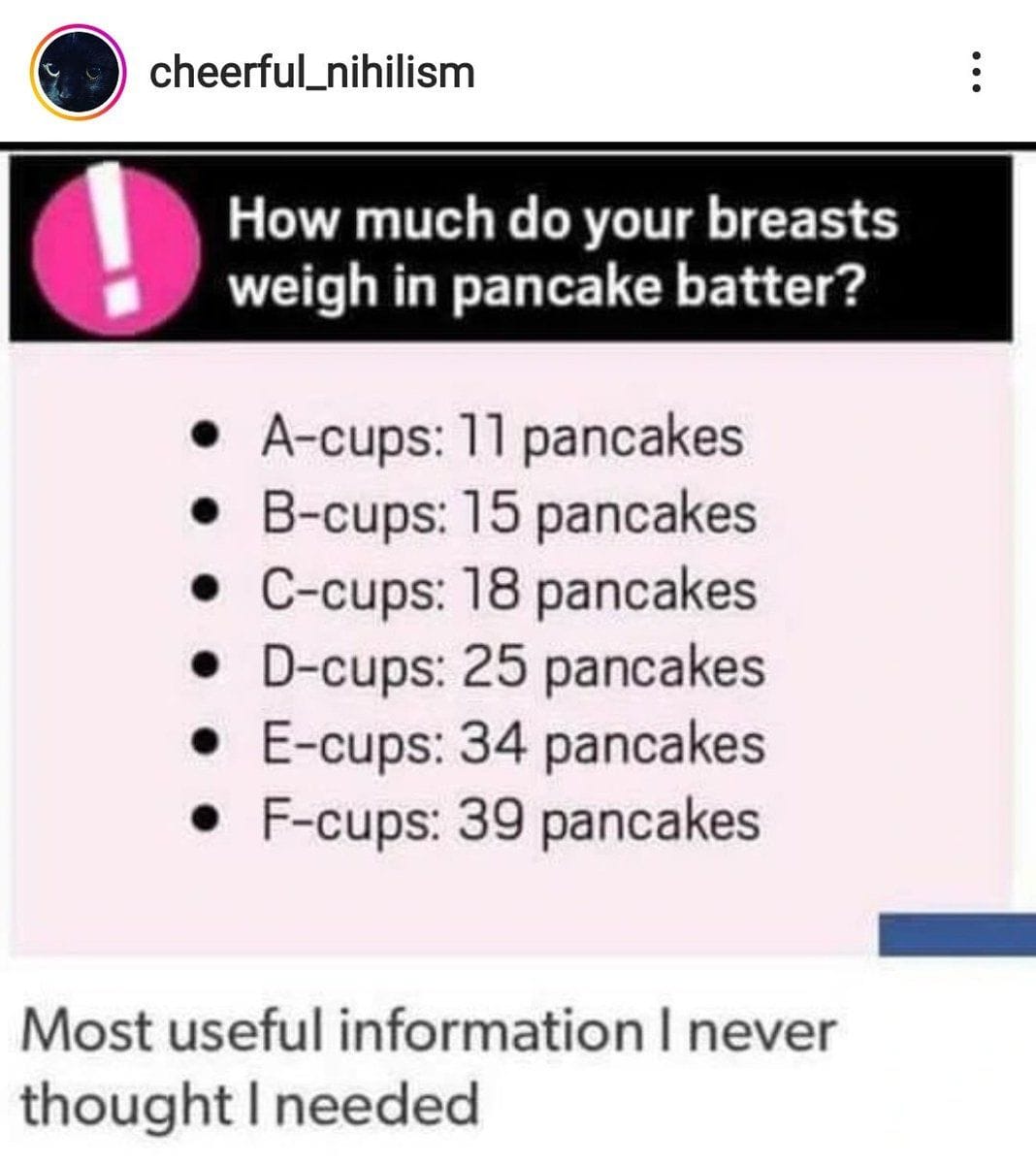 This meme forced me to make pancakes at 10pm.