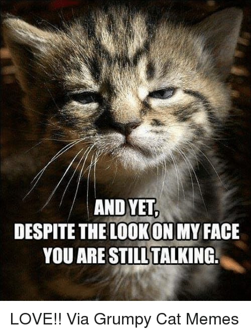 And YET DESPITE THE LOOKONMY FACE YOU ARE STILL TALKING LOVE!! Via ...