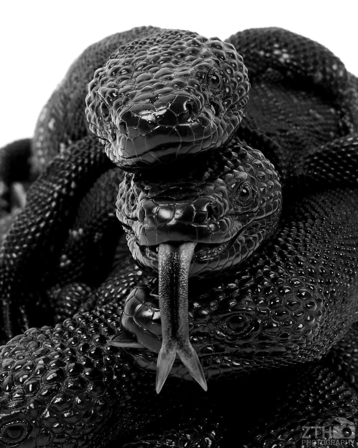 ZTH Photography took this stunning black and white photo of a stack of ...