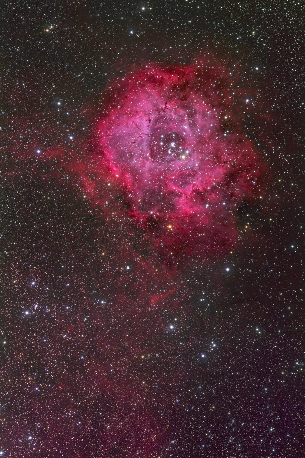 NGC 2237, Rosette Nebula