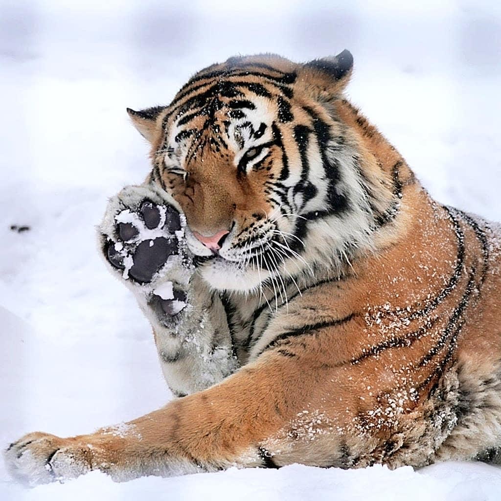 Coffee Break on Tumblr