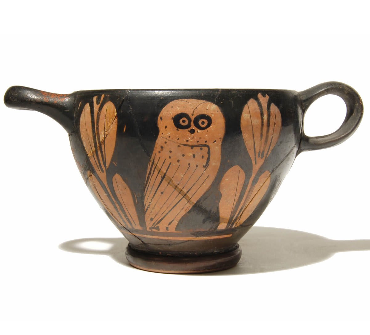 It’s Superbowl day today, so we thought we’d share a superb owl from ...