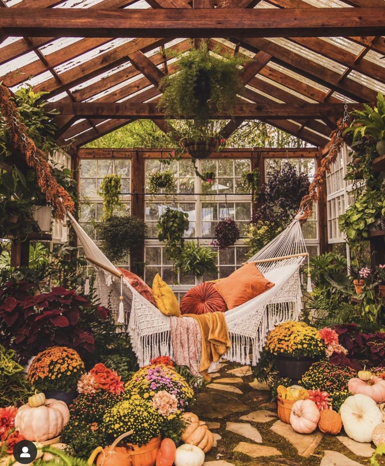 Pin by Ari on Green House | Greenhouse, Backyard greenhouse, Outdoor