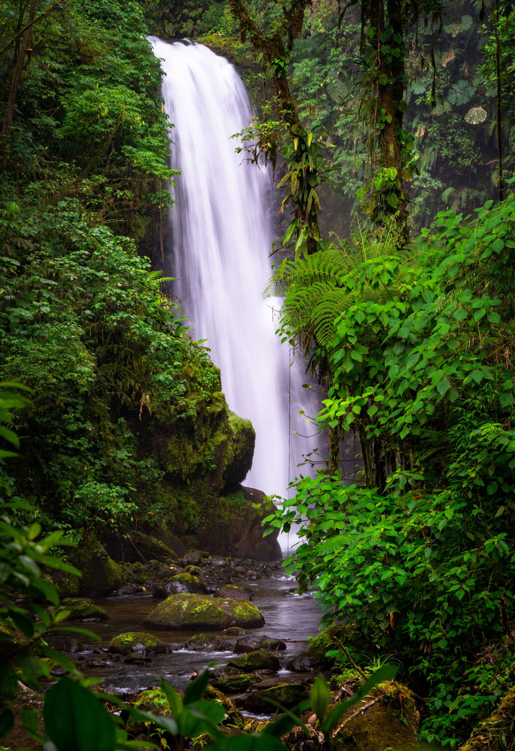 Costa Rica's beautiful nature