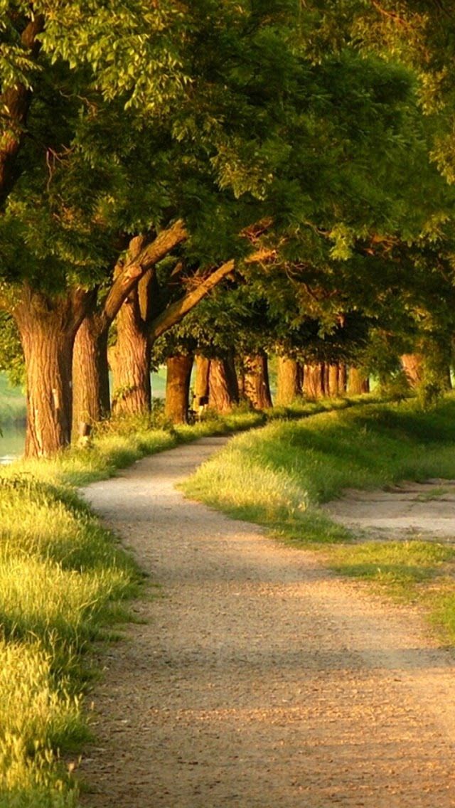 pretty | Beautiful landscapes, Nature pictures, Scenery