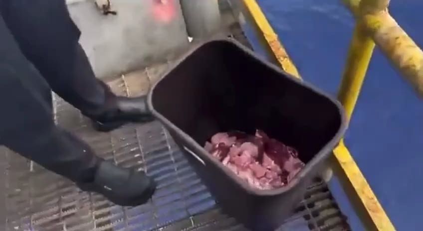 Throwing raw meat into the deep ocean