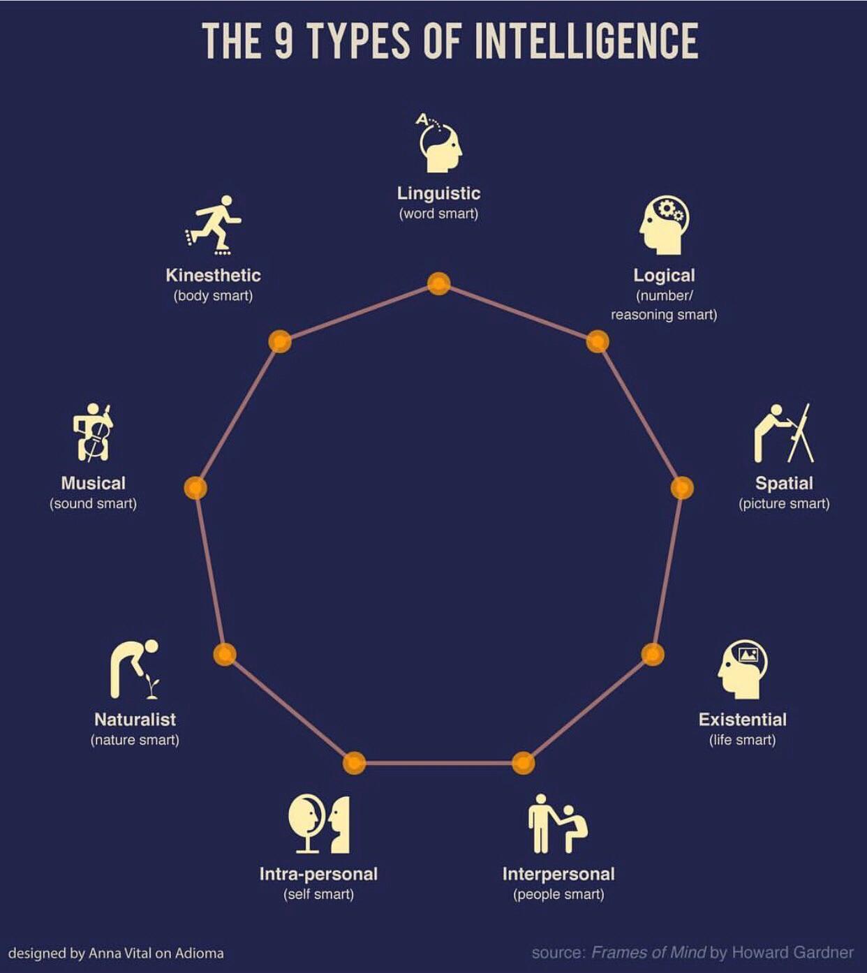 Guide to Different Types of Intelligence (If you know, you know 🧠)