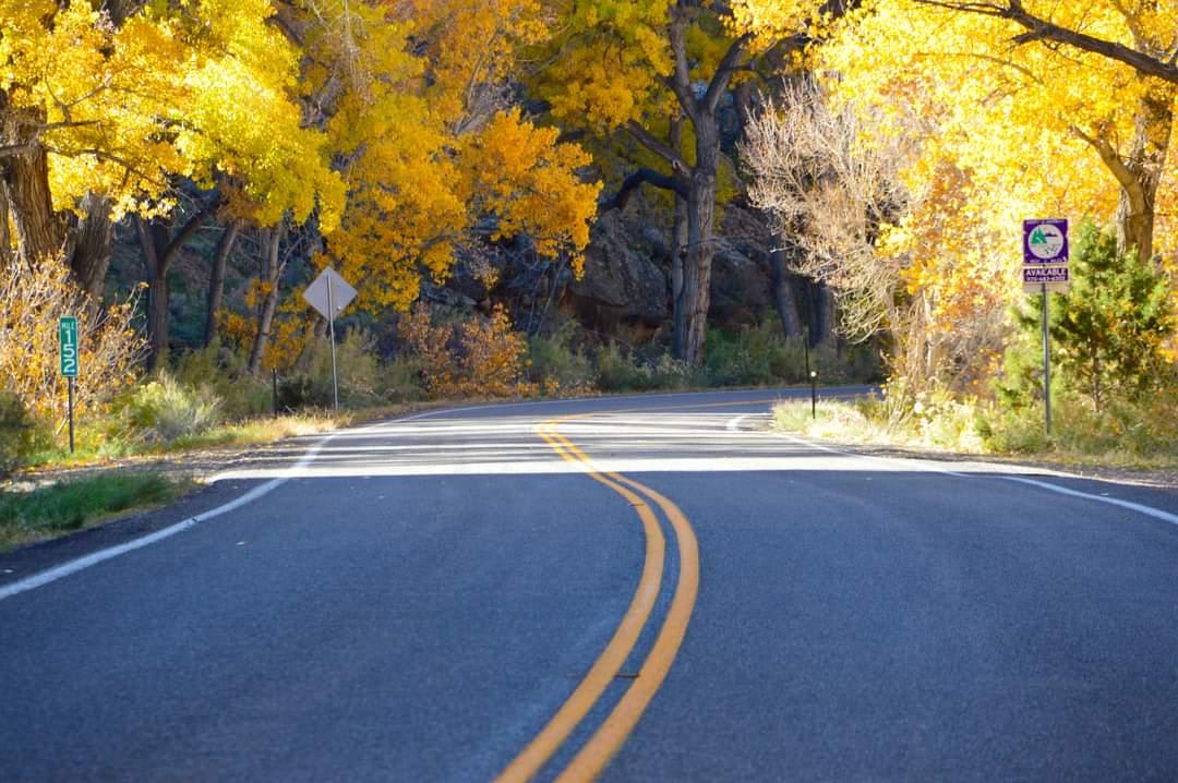 Highway 141 "9 Mile Canyon" Colorado