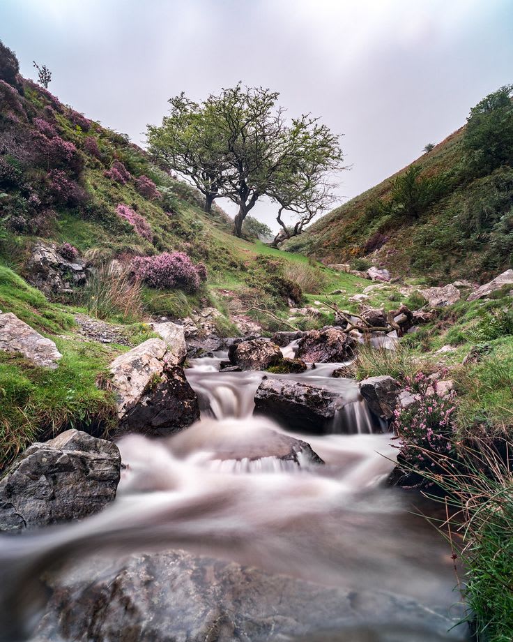 Carding Mill Calm | Waterfall, Nature scenes, Mill