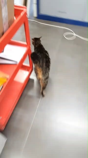 The most dramatic exit you've ever seen