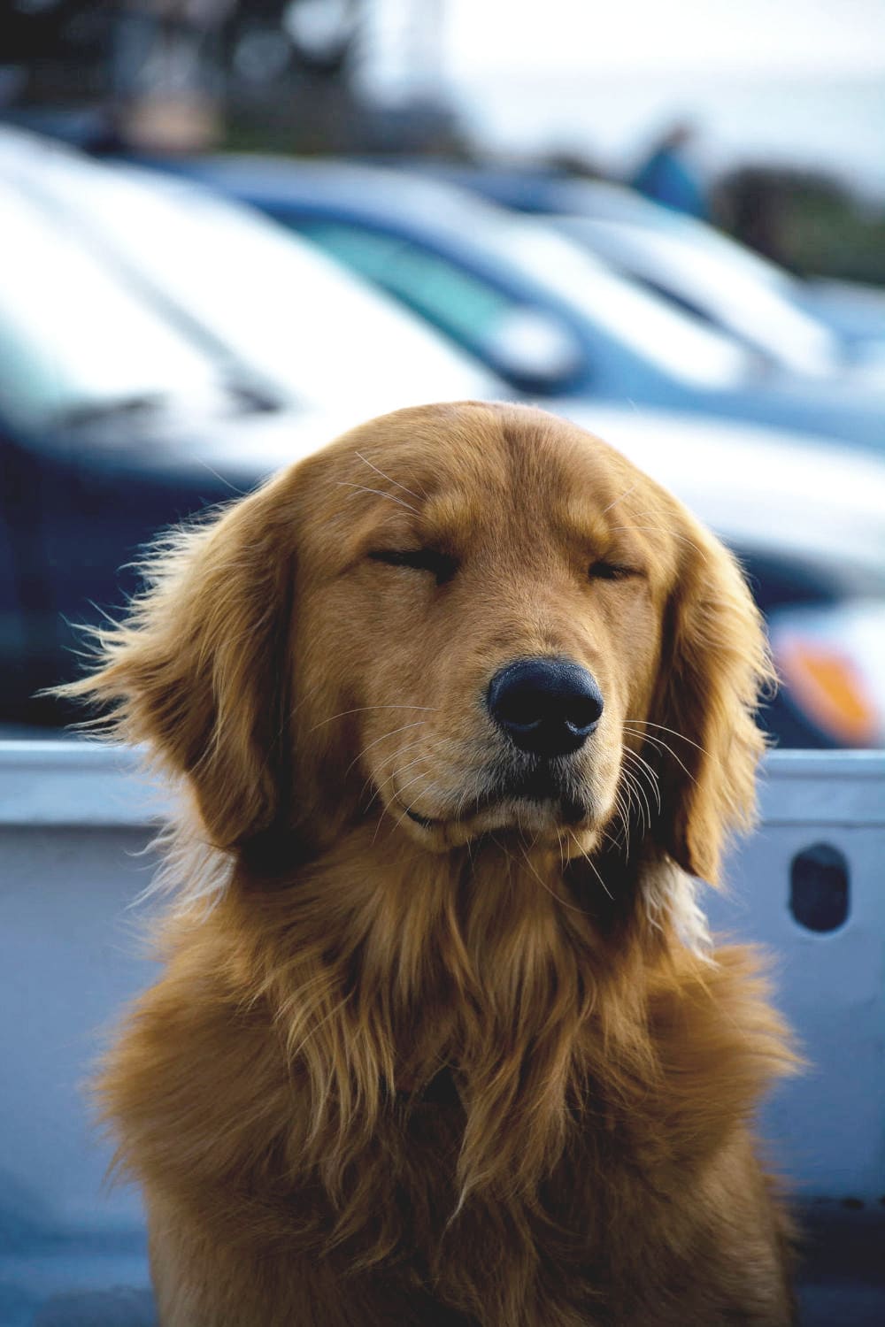 Coffee Break on Tumblr